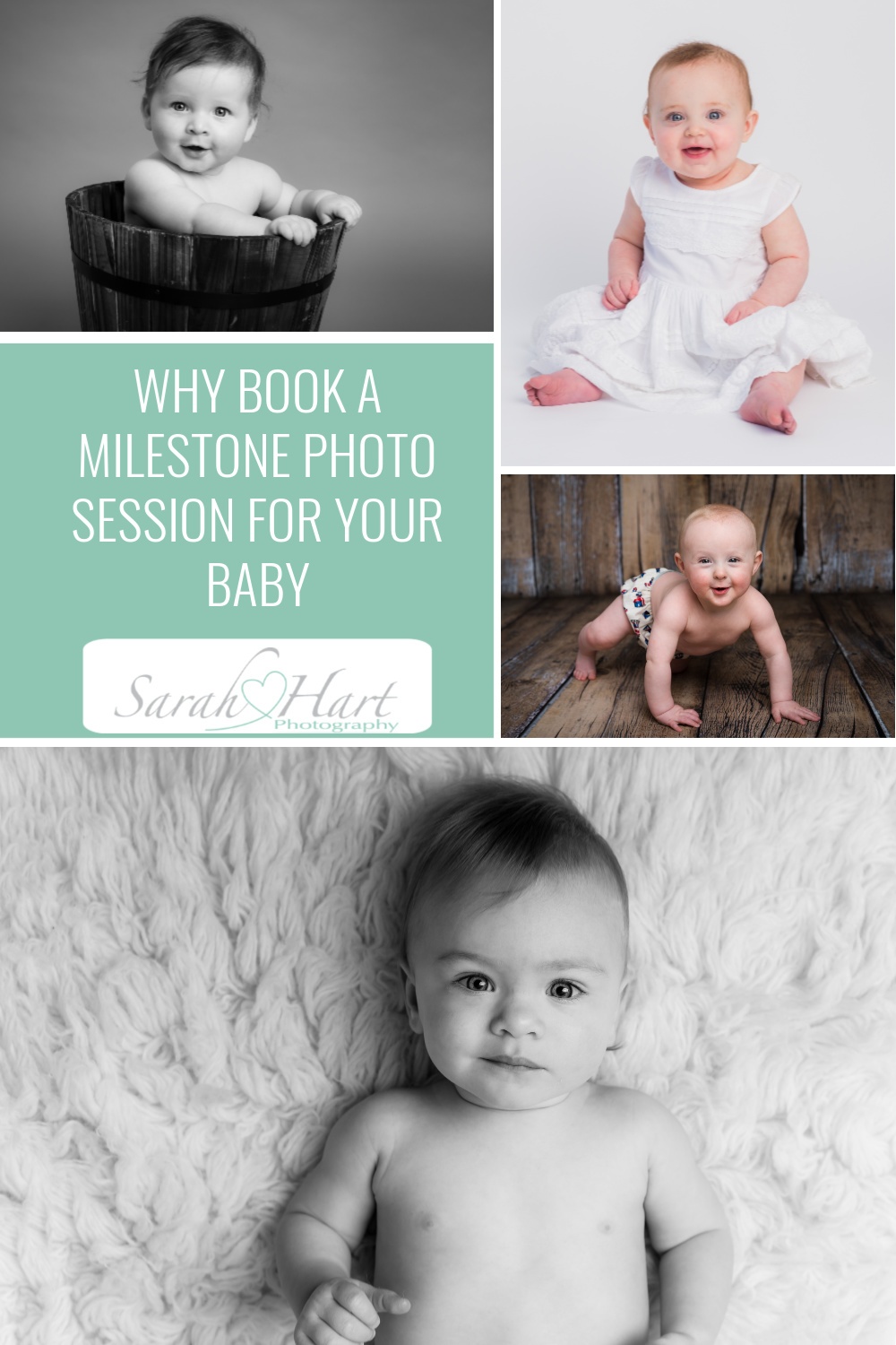 Newborn Photography by Sarah Hart Photography Why book a Milestone ...